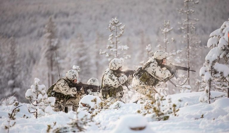 Finnish Defence Forces: new ski equipment for northern troops