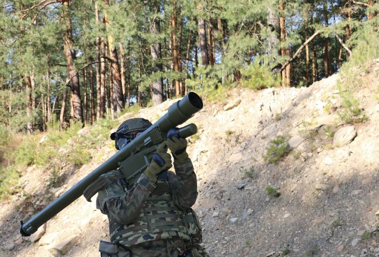 Lithuania to purchase more Grom air defence systems from Poland