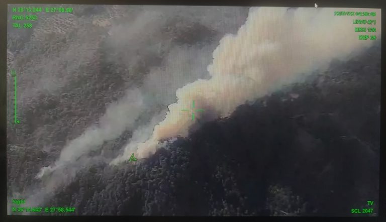 UAVs in Forest Fire Operations: Revolutionizing Coordination, Command ...