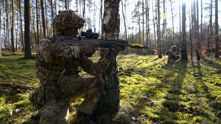 Brilliant Jump 2024: NATO Allies exercise in dense forest conditions